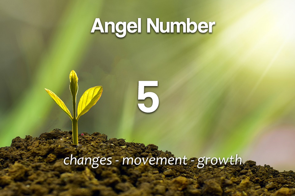 Angel Number 7 - Spiritual Meaning and Symbolism - Spirit Animals