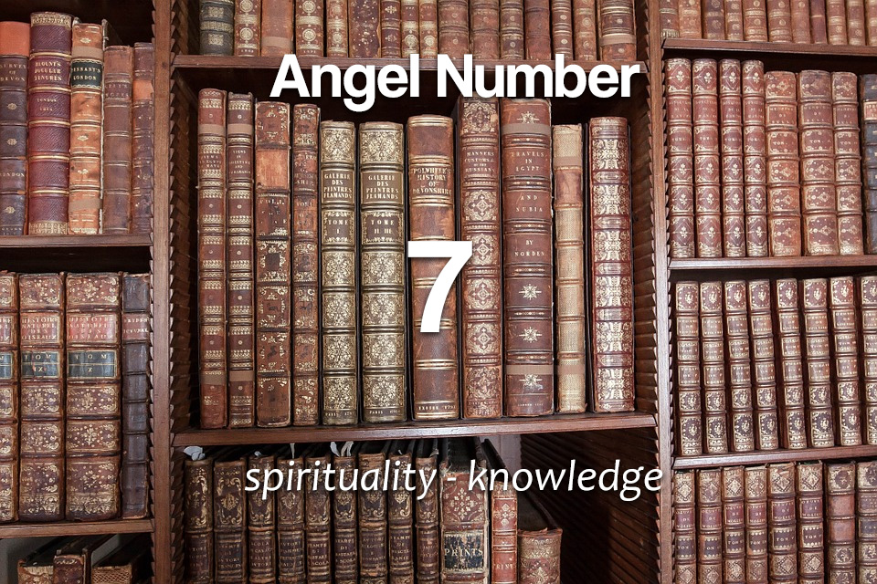 Angel Number 7 - Spiritual Meaning and Symbolism - Spirit Animals