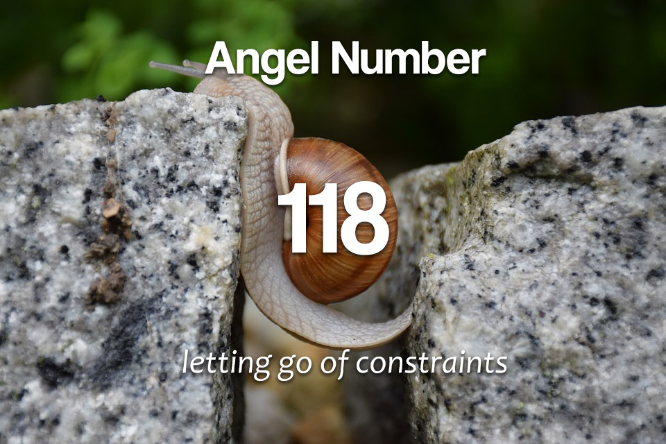 Angel Number 118 - Meaning and Symbolism - Spirit Animals