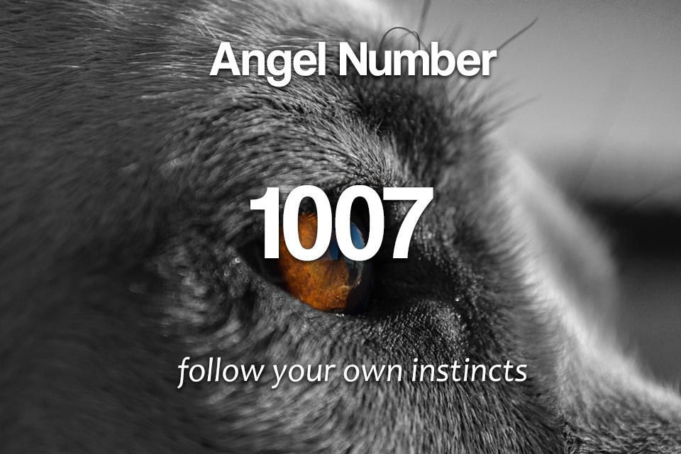Angel Number 1007 - Significance and Meaning - Spirit Animals