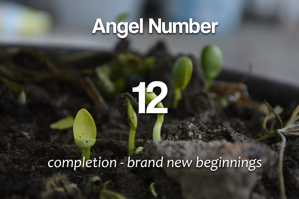 12 Angel Number - Meaning and Significance - Spirit Animals